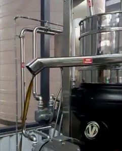 Avocado Oil Extraction - Vitoneco